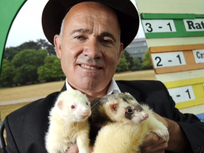 Ferret racing in York, North Yorkshire and Nationwide
